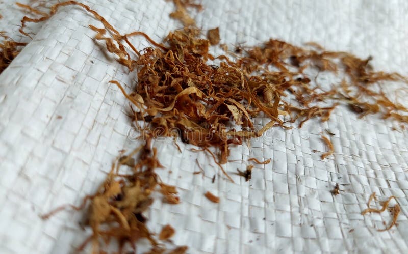 TOBACCO that HAS BEEN CUT and DRYED Stock Photo - Image of brown ...