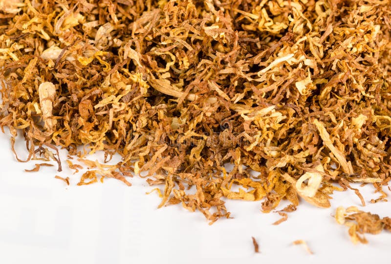 Tobacco stock image. Image of piled, addictive, horizontal - 75065913