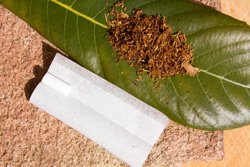 153 Tobacco Sheet Stock Photos - Free & Royalty-Free Stock Photos from ...