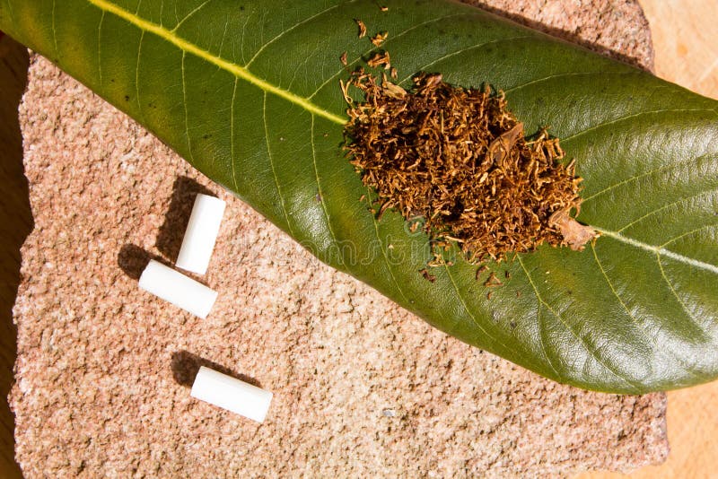 150 Tobacco Sheet Stock Photos - Free & Royalty-Free Stock Photos from ...
