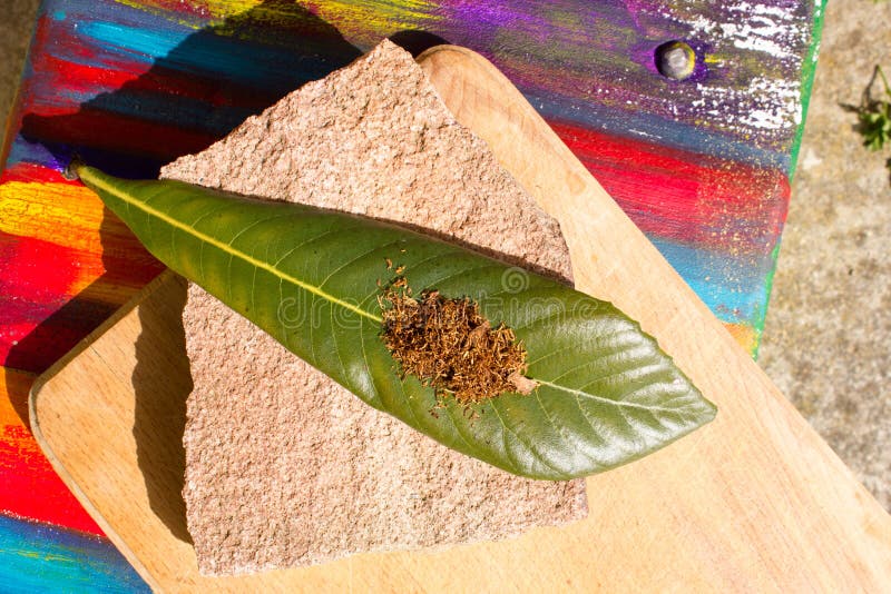 153 Tobacco Sheet Stock Photos - Free & Royalty-Free Stock Photos from ...