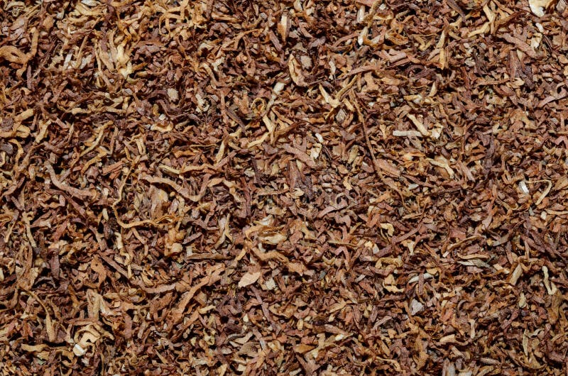 Tobacco texture stock image. Image of crop, brown, green - 85962167