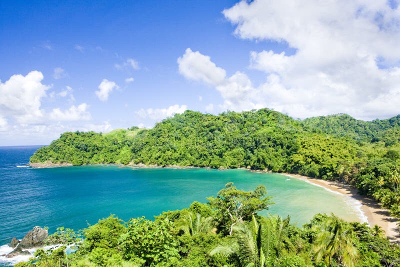 Tobago stock image. Image of greater, nature, holidays - 14524931