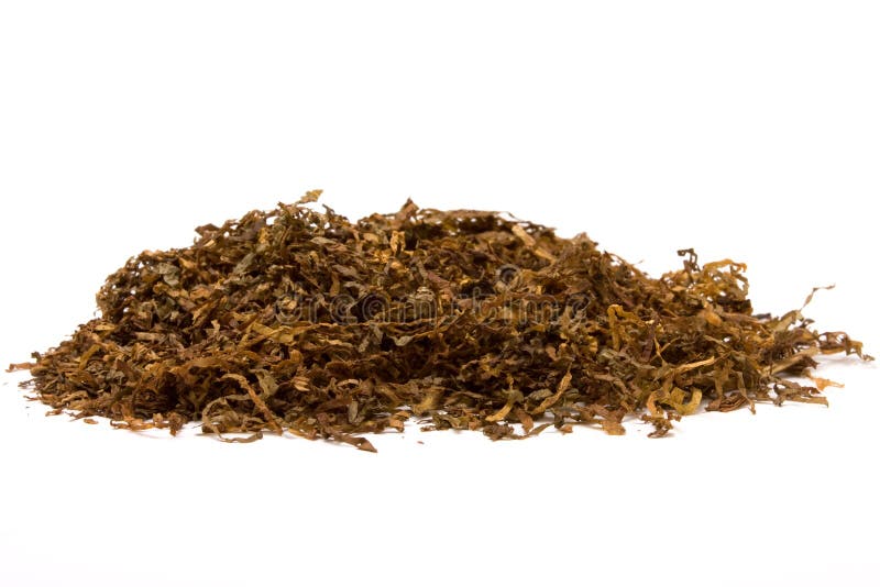Tobak arkivfoto. Bild av makro, beroende, livsstil, tobak - 13555682