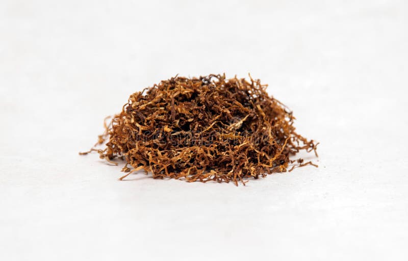 Tobak fotografering för bildbyråer. Bild av cancer, torkat - 28656967