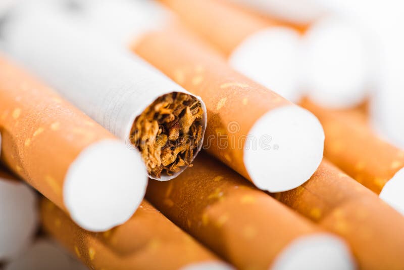 Tobak Med Den Cigarettfallet Och Växten Arkivfoto - Bild av cigarett ...