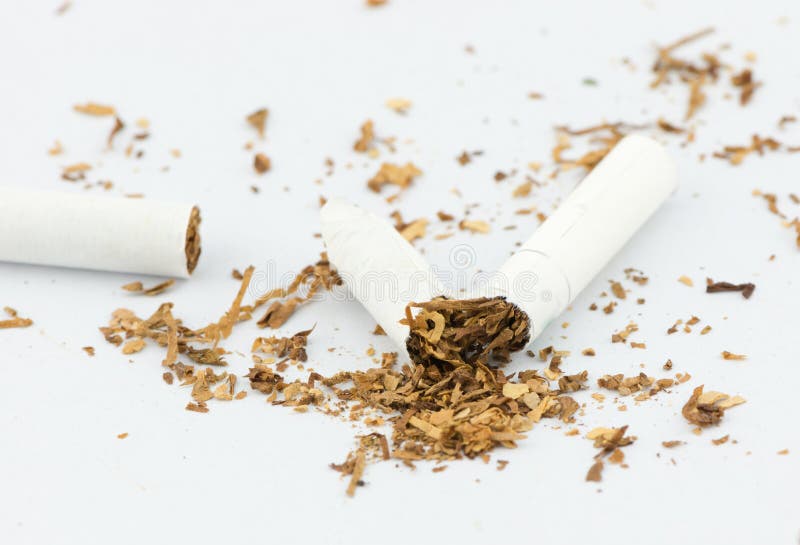 Tobak I Cigaretter Med Ett Brunt Filter Fotografering för Bildbyråer ...