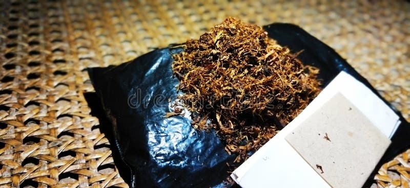 Tobbaco stock image. Image of javanica, tobbaco, java - 213559001