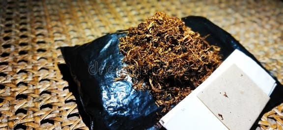 Tobbaco stock image. Image of javanica, tobbaco, java - 213559001