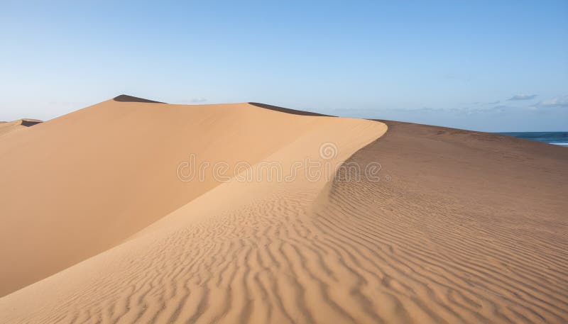 Today Best Image with High Quality Stock Photo - Image of quality, high ...