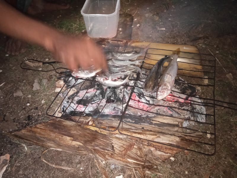 Cat Cook with Grilled Meat on Skewers Stock Image - Image of animal ...