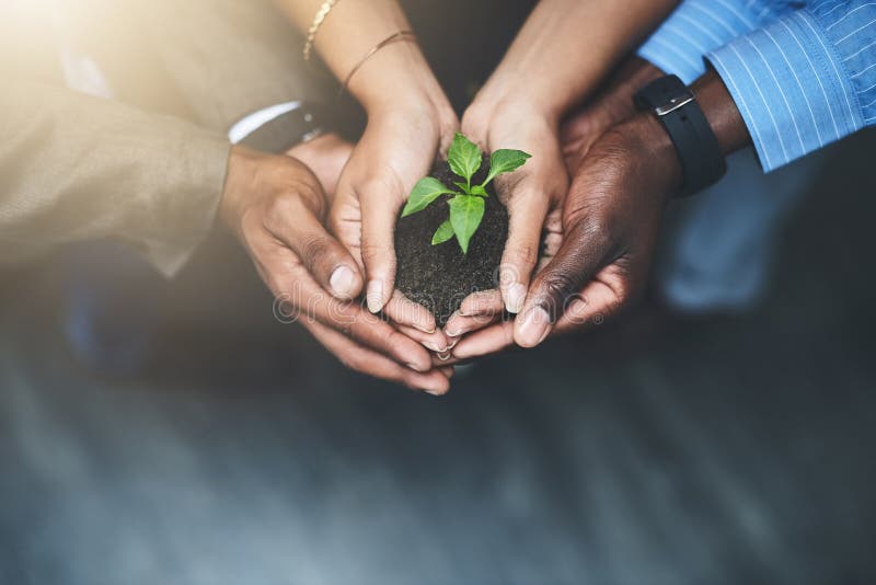 Today a Seedling, Tomorrow a Tree. a Group of People Holding Plants ...