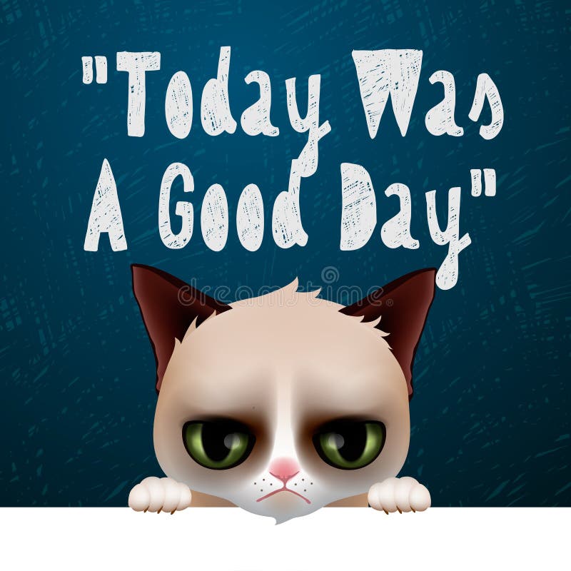 Today Was a Good Day, Card with Cute Grumpy Cat Stock Vector ...