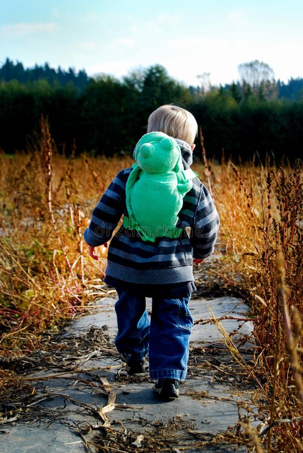 191 Frog Back View Stock Photos - Free & Royalty-Free Stock Photos from ...