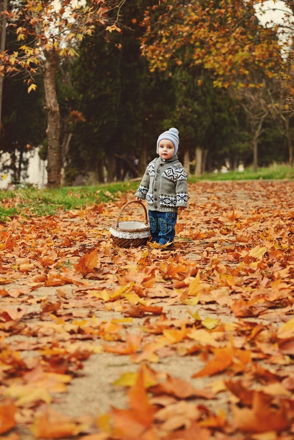 Toddler boy in fall stock photo. Image of leaf, leave - 78245428