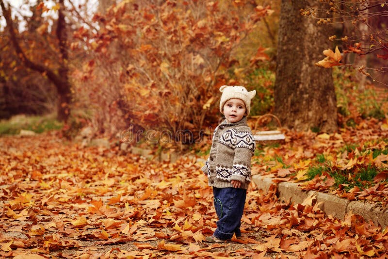 Toddler boy in fall park stock photo. Image of footpath - 150567512