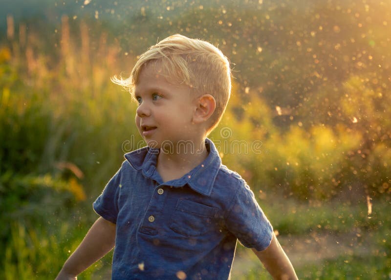 Toddler Boy Playing in Summer Sun Stock Photo - Image of blonde, summer ...