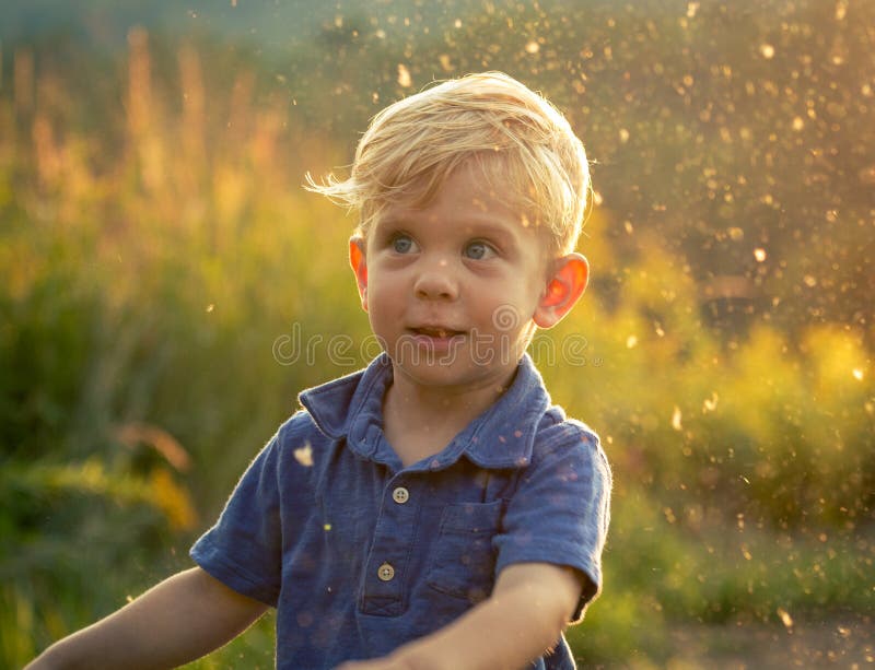Toddler Boy Playing in Summer Sun Stock Photo - Image of caucasian ...