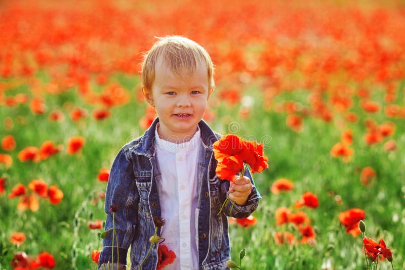 Toddler boy in poppy field stock image. Image of color - 183651599
