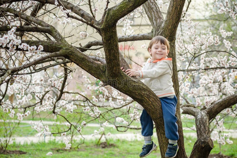 Toddler Boy in Spring Time Near the Blossom Tree Stock Image - Image of ...