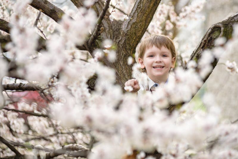 Toddler Boy in Spring Time Near the Blossom Tree Stock Photo - Image of ...