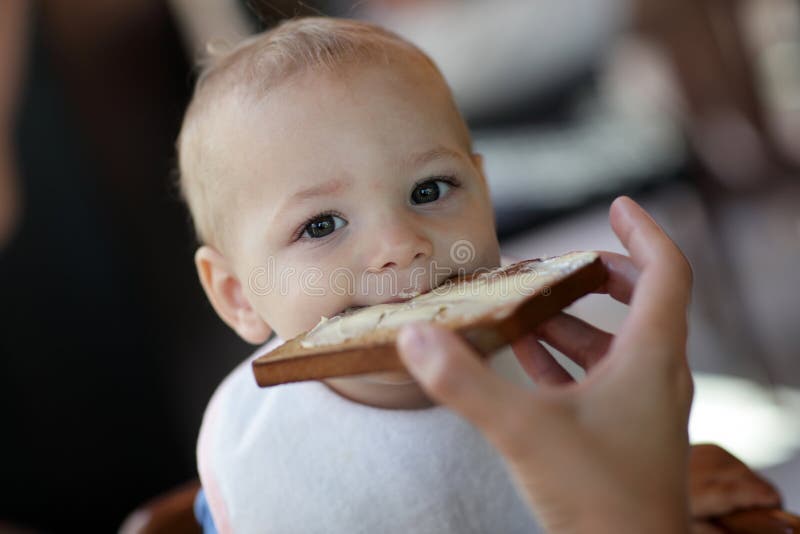 Toddler eating toast stock image. Image of cuisine, offspring - 26932999