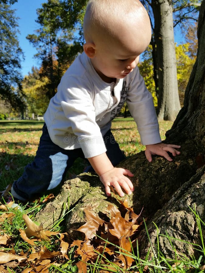 Toddler Exploring Nature stock photo. Image of tree, outdoors - 47109926