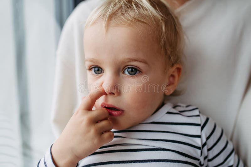 Toddler Picking Nose while Sitting on Parent S Lap. Stock Photo - Image ...