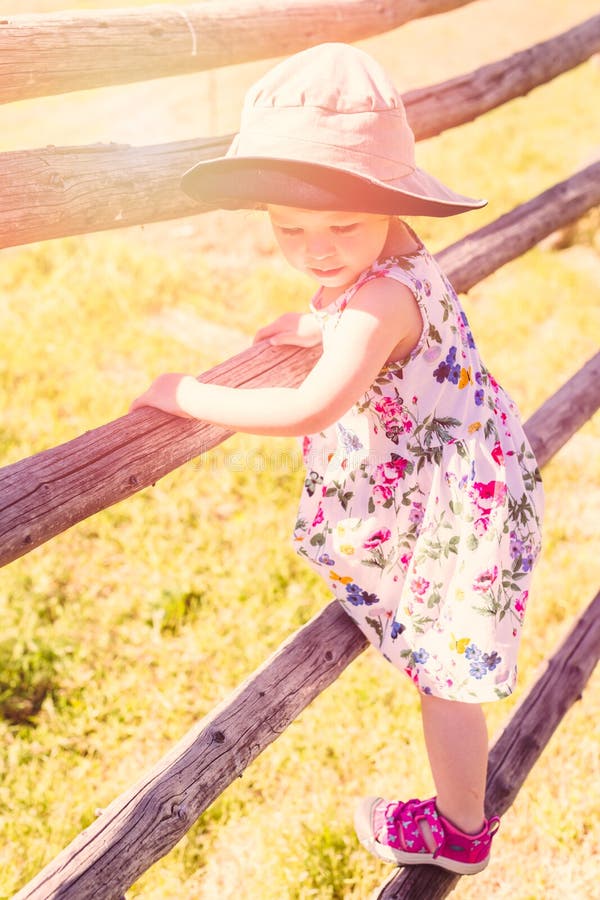 Toddler stock photo. Image of youth, farm, climbing, agriculture - 88403754