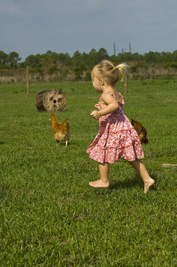 Toddler Running Barefoot on Farm Stock Photo - Image of girl, chicken ...