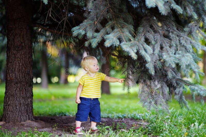 Boy touching a tree stock photo. Image of ecstatic, home - 42369926