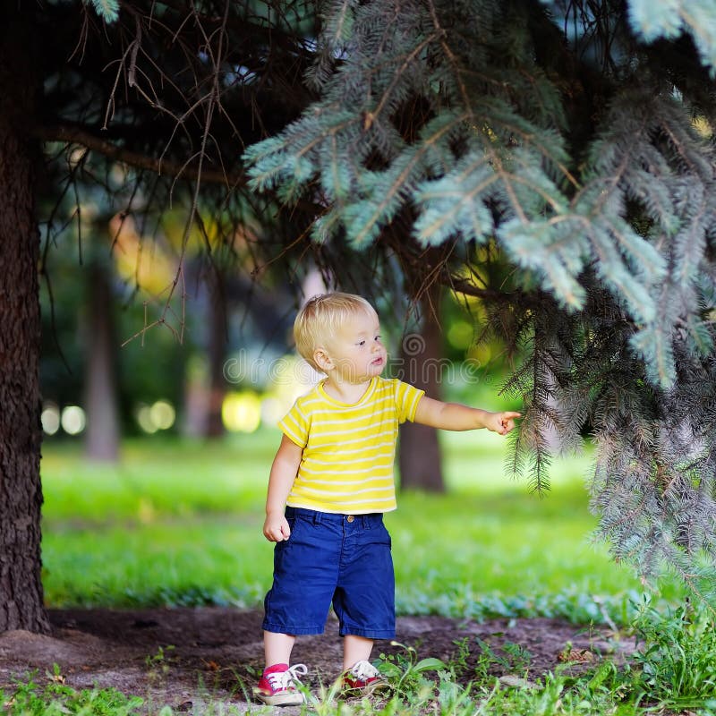 Toddler touching at tree stock image. Image of helper - 68595993