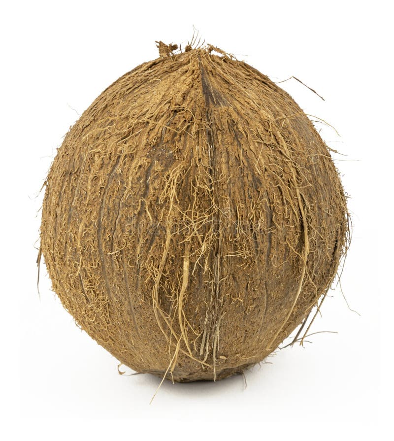 Todo Un Coco. Coco Aislado De Fondo Blanco. Foto de archivo - Imagen de ...