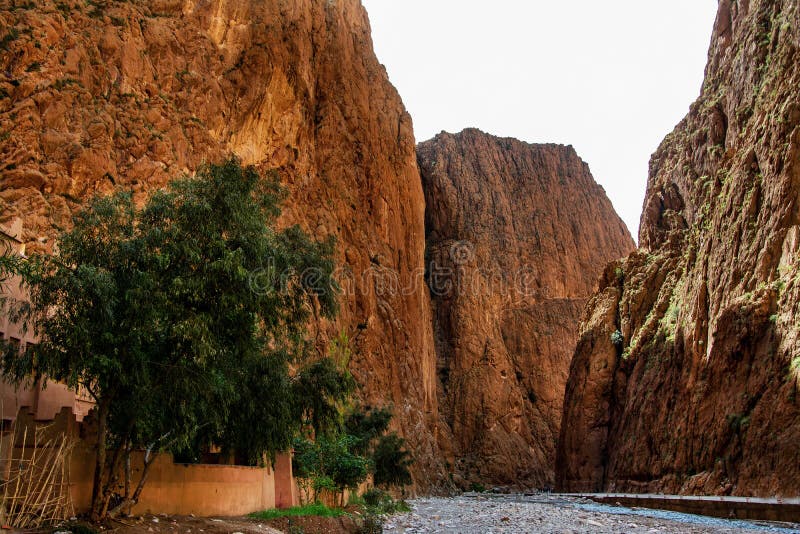 Todra Gorge in Morocco, Africa Stock Image - Image of stone, canyon ...