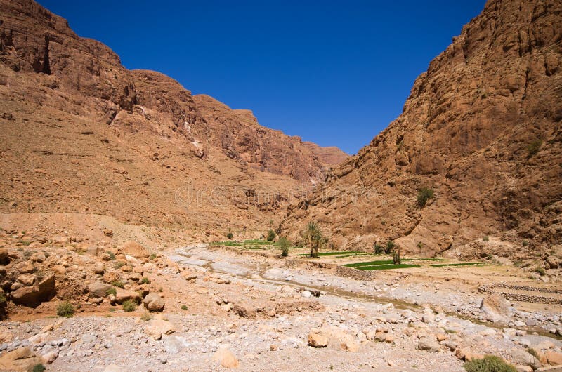 Todra gorge in Morocco stock image. Image of deep, geology - 78541875