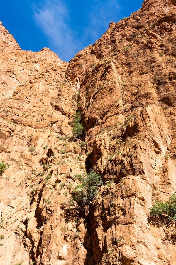 Tall Cliff at Todra Gorge in Morocco Stock Image - Image of canyon ...