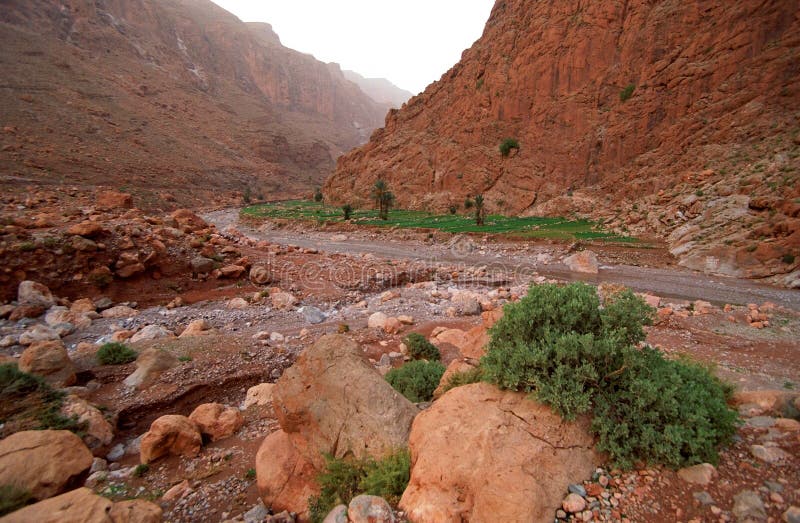 Todra Gorges stock image. Image of idyllic, beautiful - 8331563