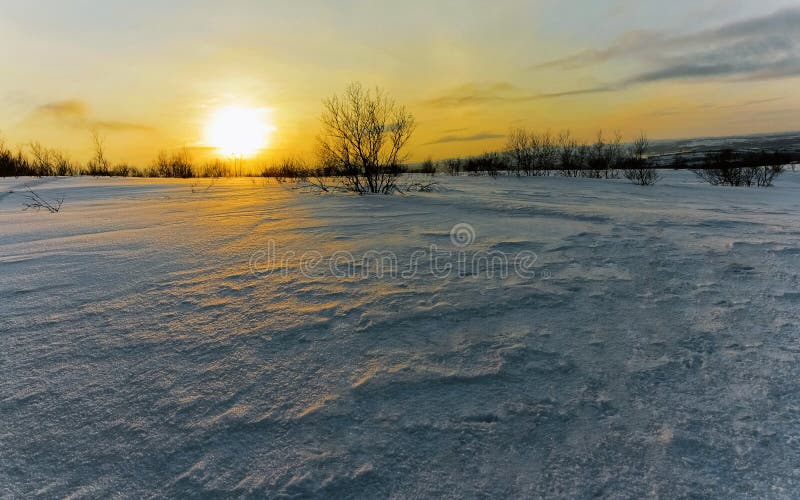 Toendra in de winter stock afbeelding. Image of hulp - 39285881