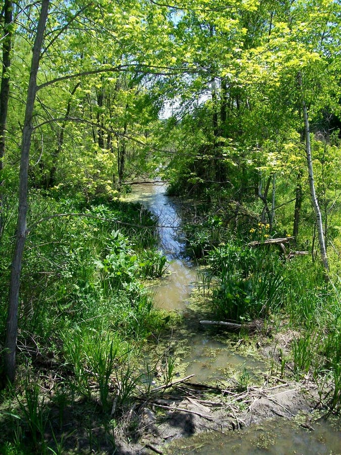 Howland Park stock image. Image of green, arroyo, park - 100215787