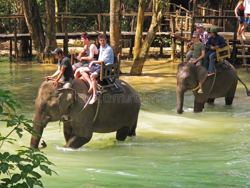 Toeristen Die Op Olifanten Rijden Redactionele Fotografie - Image of ...