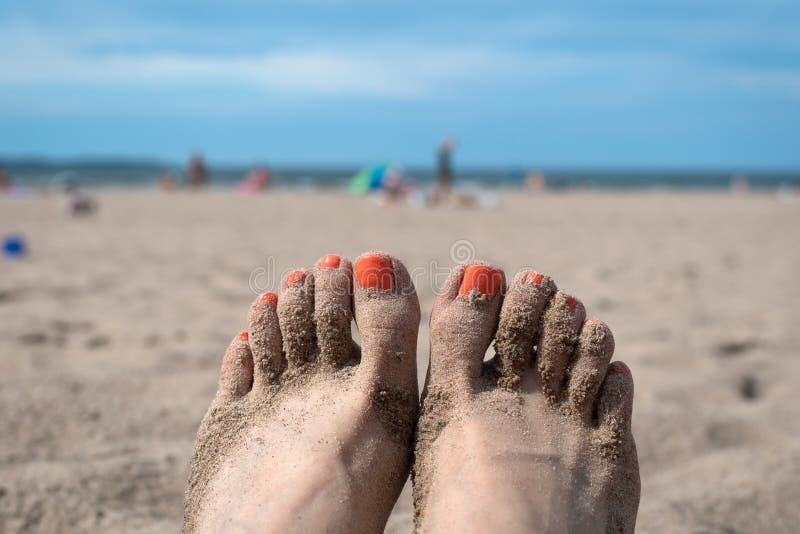 Beautiful Sandy Beaches in Summer Stock Image - Image of coast, scenic ...