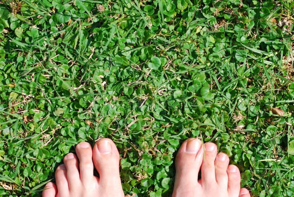 Toes in grass stock image. Image of grass, freedom, meadow - 10700669