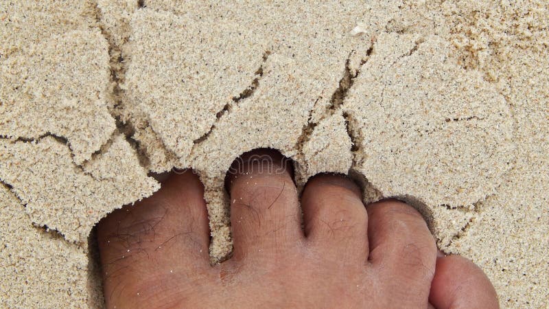 Toes stuck in the sand stock photo. Image of beach, finger - 255164340