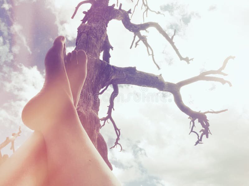 Toes towards the sky stock image. Image of dead, sitting - 102816487