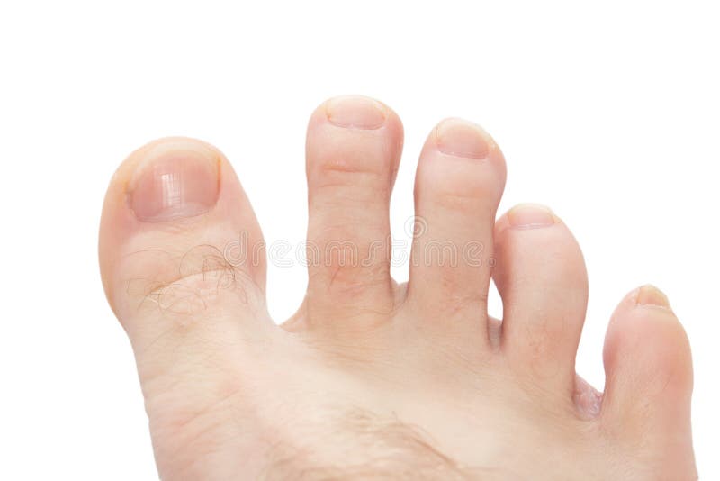 Toes on a White Background. Macro Stock Image - Image of closeup, white ...