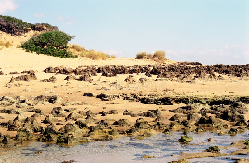 Tofo Beach, Mozambique stock image. Image of sandy, blue - 103864881