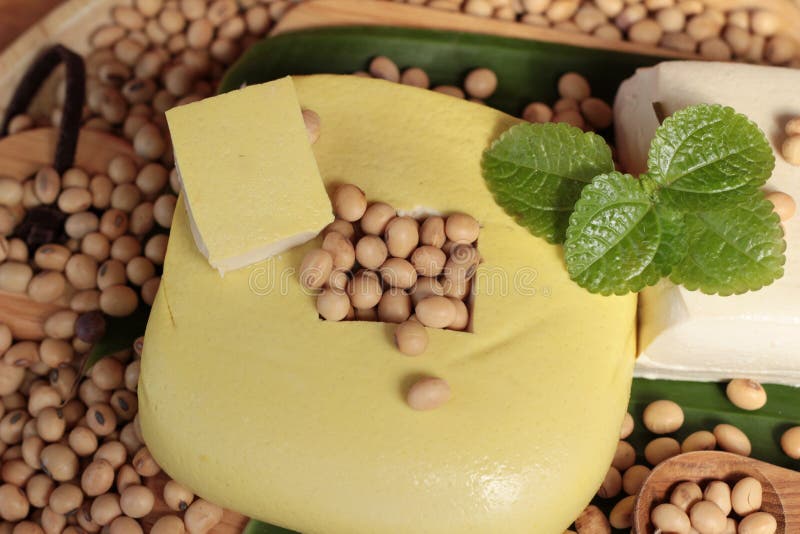 Tofu for Cooking and Soybean Seed. Stock Photo - Image of leaves ...