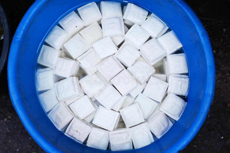 Tofu or Soya Bean Curd Freshly Made Stock Photo - Image of soya, vegan ...