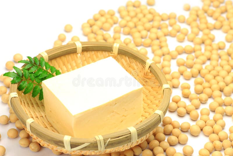 Tofu and soybean stock photo. Image of side, japanese - 24338516
