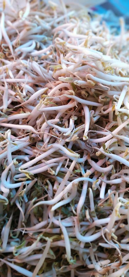 121 Toge Vegetable Stock Photos - Free & Royalty-Free Stock Photos from ...